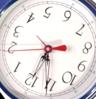 Massachusetts Board of Registration in Nursing | License Renewal | Wild ...