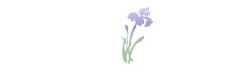 Wild Iris Medical Education, Inc. Logo